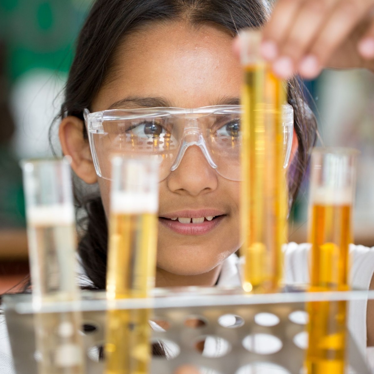 St Bernard's Preparatory School - St Bernard's Science Fair